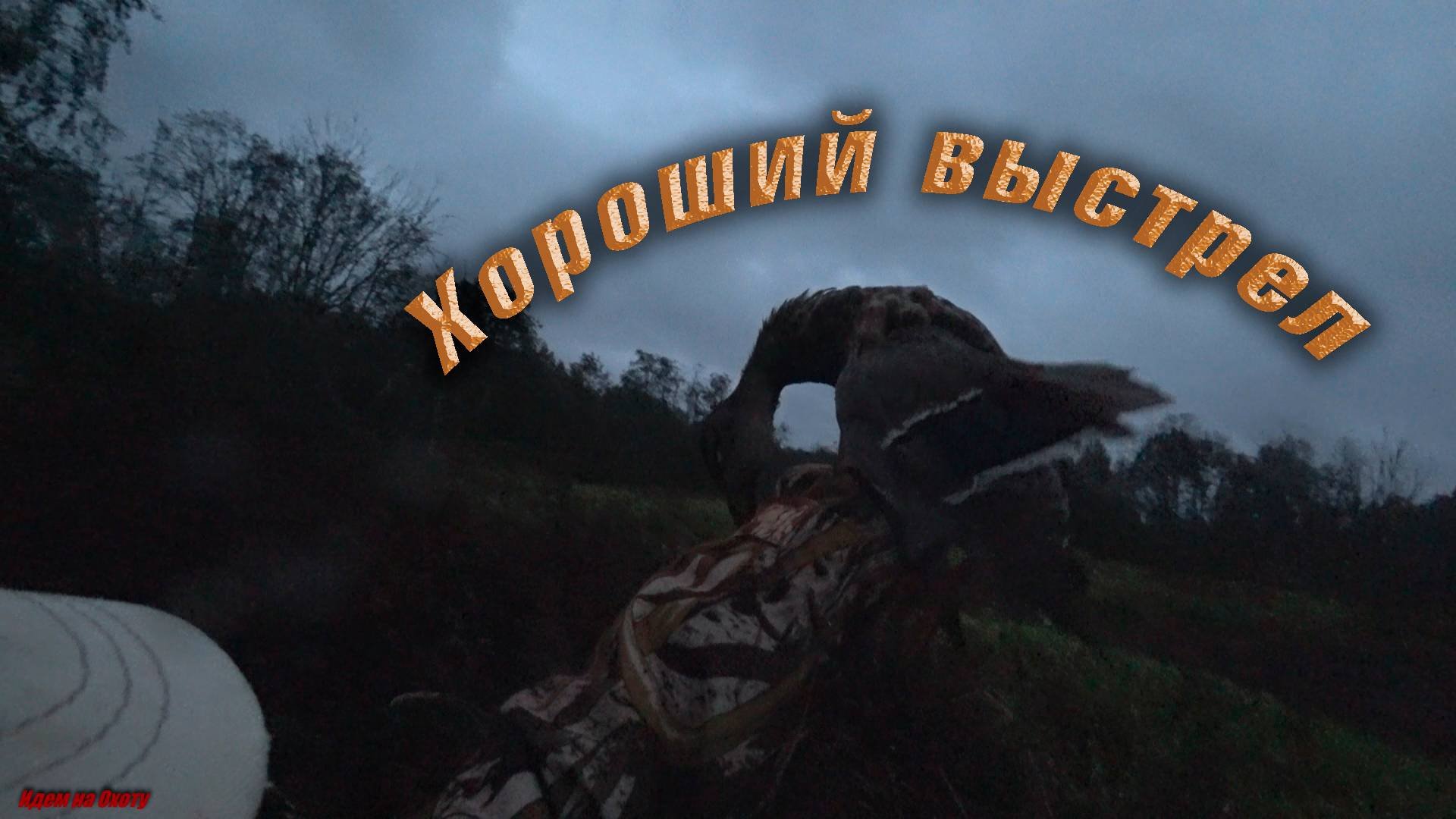 Охота  с подхода на утку на речке 2021