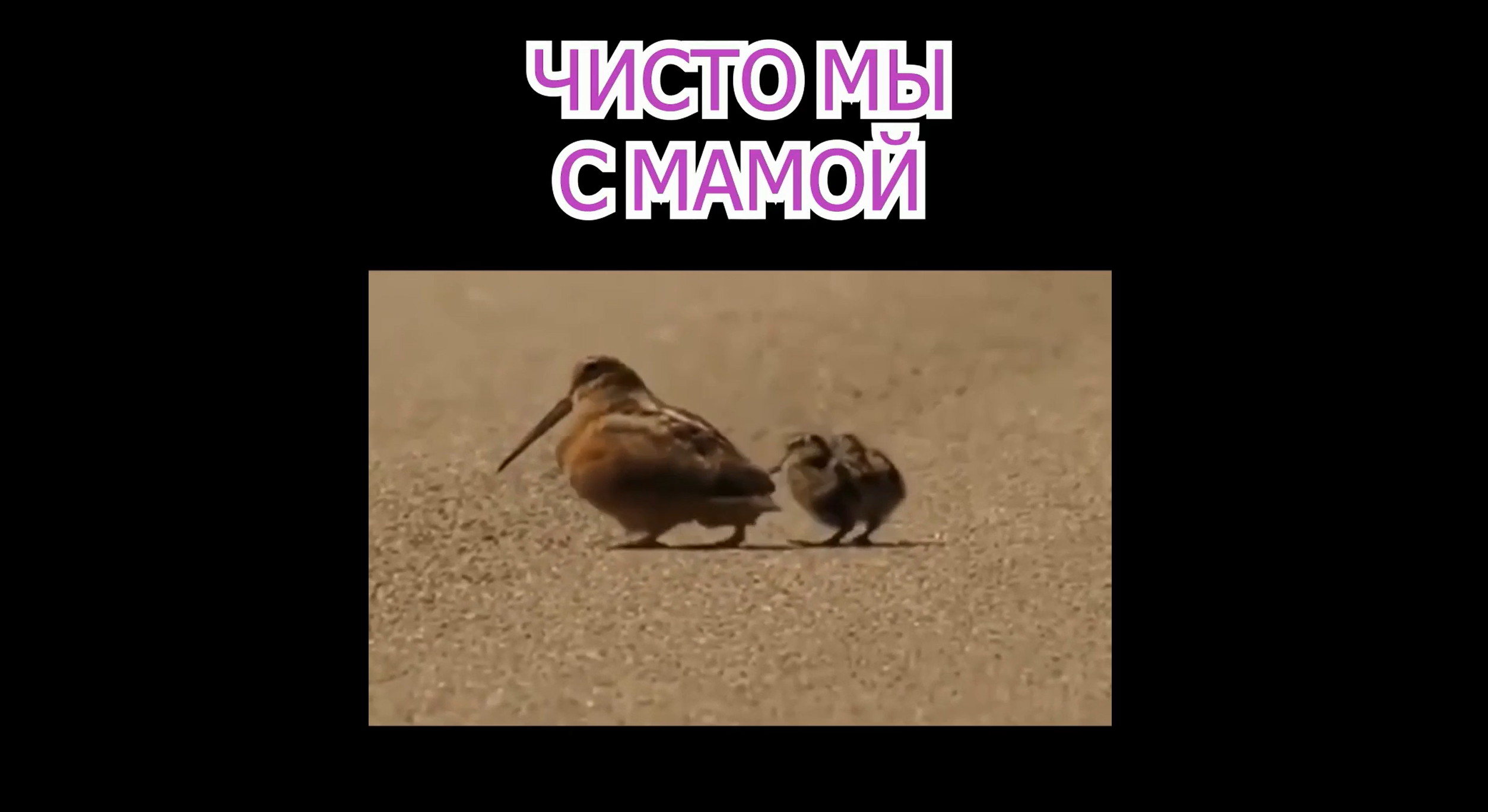 Гуляем! На чиле. На расслабоне!