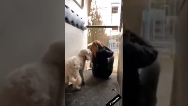 VID_20221228_192925_801.mp4