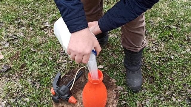 23.04.22. КРЫЖОВНИК. ОПРЫСНУЛ И ПОБЕДИЛ МНОГО БОЛЕЗНЕЙ