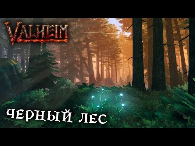 ЧЕРНЫЙ ЛЕС - Valheim #2