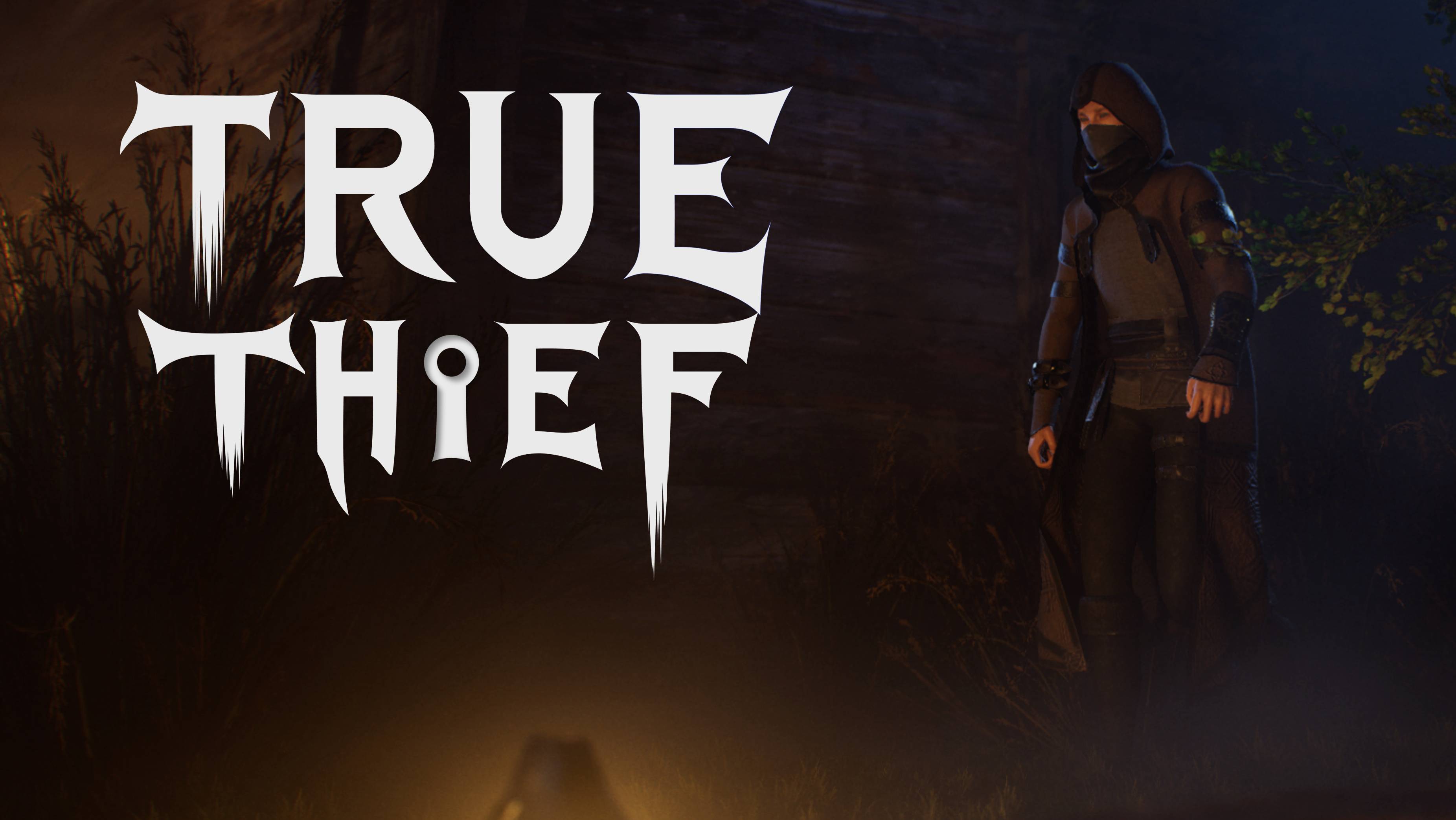 Тизер - True Thief