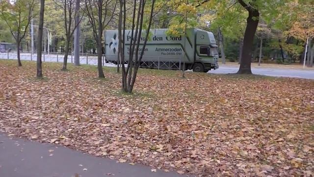 Петербургская осень 2015.