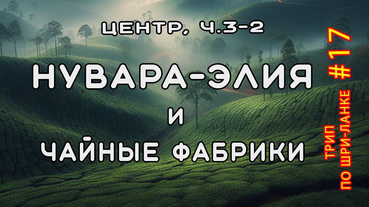 Нувара-Элия: чайные фабрики, где купить чай. Центр Шри-Ланки, часть 3-2. Трип по Шри-Ланке #17