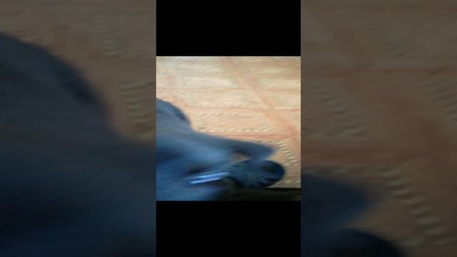 VID_20190215_154832