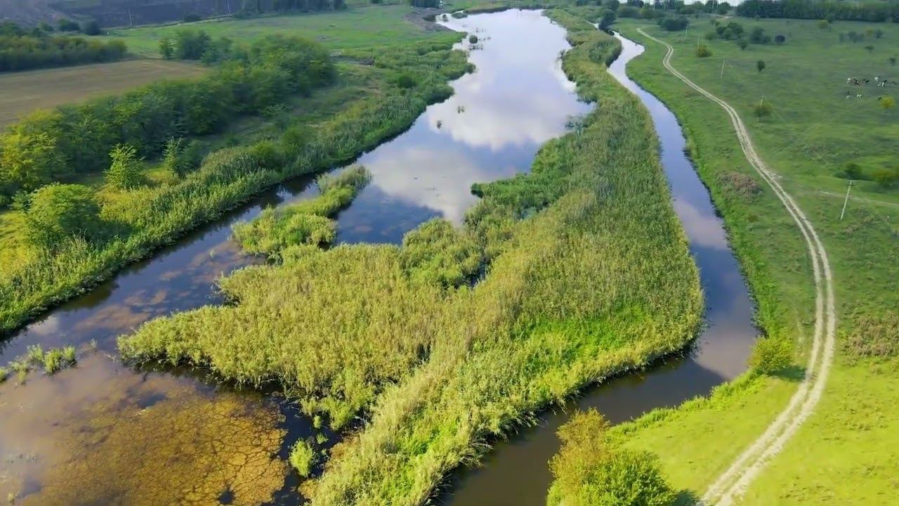 6. Соколик