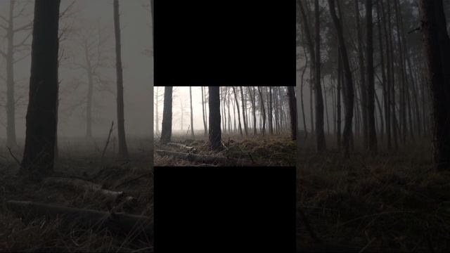 страшные расказы ч1