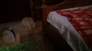 Вечерок 1280x720 3,78Mbps 2023-08-13 00-46-43.mp4