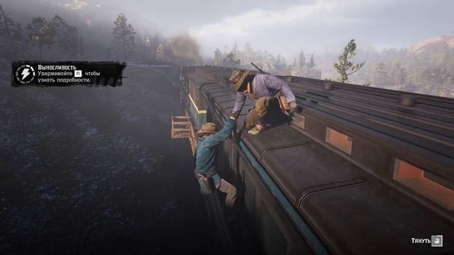 Red Dead Redemption 2｜Прохождение без комментариев｜PC｜#14