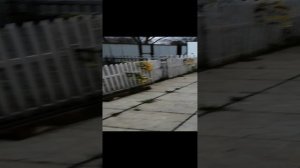 Самая злая собака питомника #Шилеле