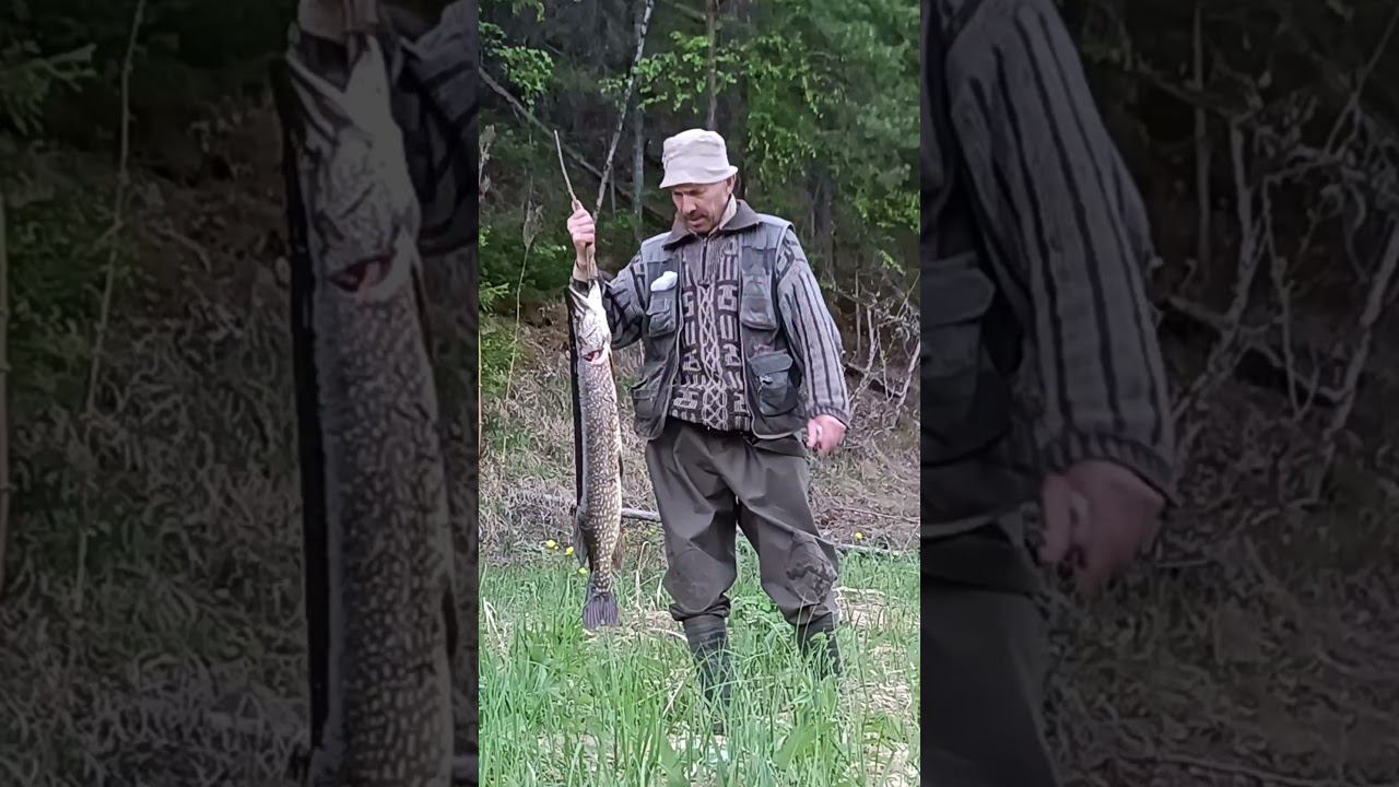 Чусовая в объективе, 2-я серия - Крупная щука