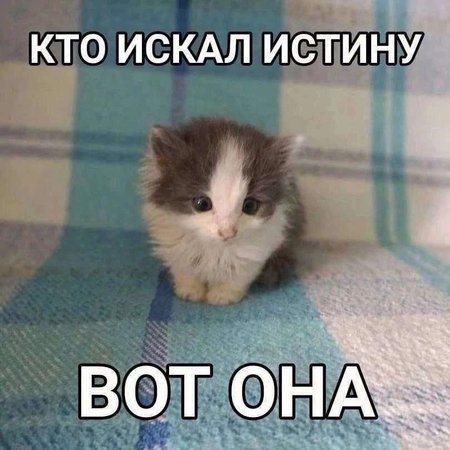 Мяч прыгает,часы идут