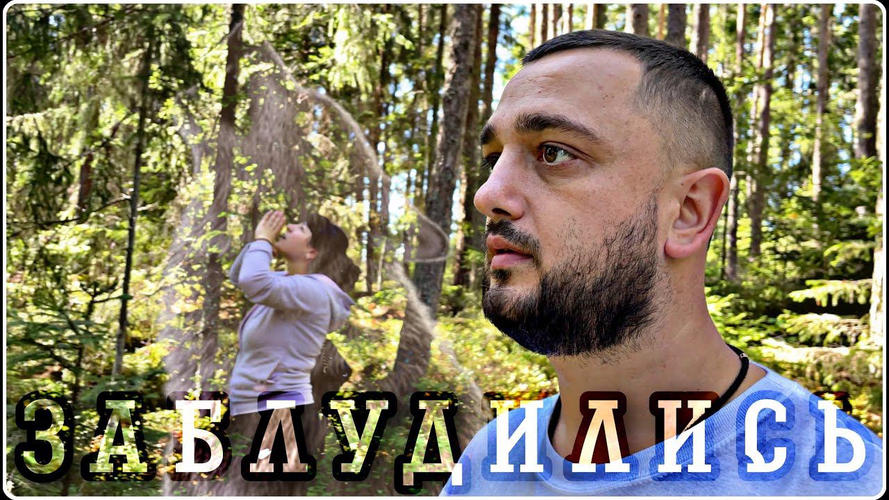 ВПЕРВЫЕ В НОРВЕЖСКОМ ЛЕСУ | МЫ ЗАБЛУДИЛИСЬ