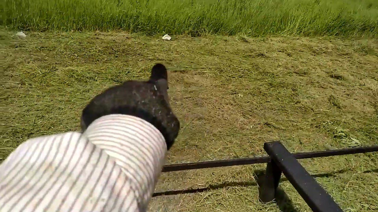 Покос травы до земли / Mowing grass to the ground