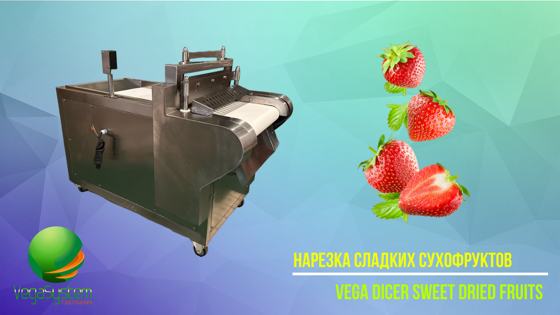 Нарезка сладкой клубники, фиников, кураги и других сухофруктов Vega Dicer Sweet Dried Fruits