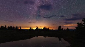 Stress Relief Music | Sound of Relaxation | Manifestation Music | Sleep Music