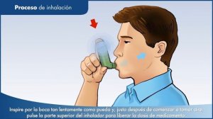 Cómo utilizar Salmeterol Sandoz 25 microgramos/inhalación suspensión para inhalación