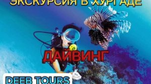 Экскурсия в Хургаде. Дайвинг. Deebtours24.online