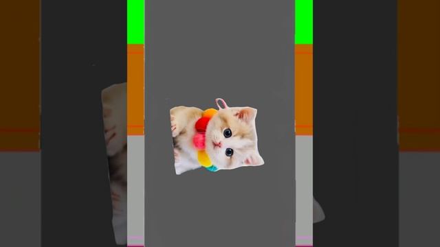 Недели котёнок Shorts (12)