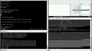 0 Day From Scratch - Backtrack 4 (Part 2)