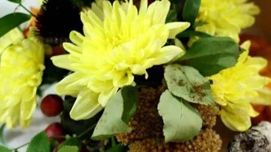 Доброе Утро!!! И пусть сегодня все будет Доброе!!! И настроение, и мысли, и друзья, и погода!!!!