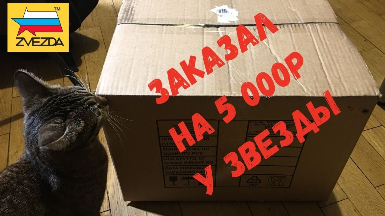 Потратил 5000р на сборные модели от Zvezda (Посылки моделисту)