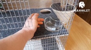 Клетка для хорька Эдем/40х50х120см/Обзор/На заказ.