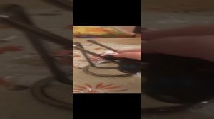 VID_20230108_190917.mp4