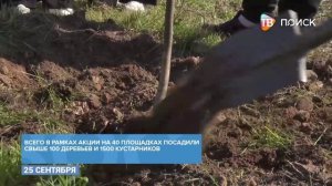 Акция Наш лес. Посади свое дерево. прошла в округе