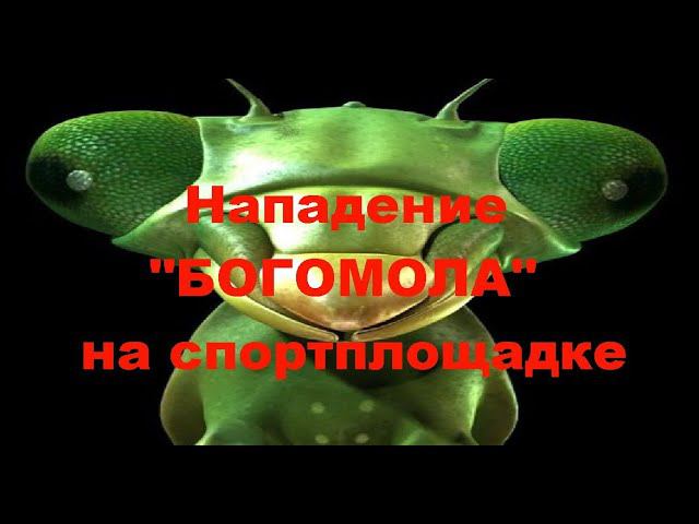 Нападение "БОГОМОЛА" на спортплощадке. Attack of "BOGOMOL" (04.09.2020)