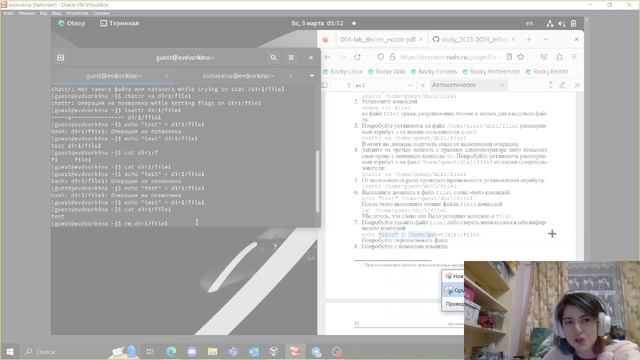 Лабораторная работа №4