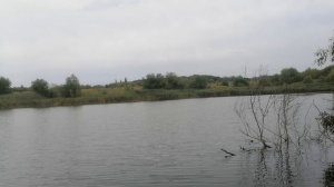 Удивительная природа на рыбалке.