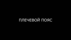 Плечевой пояс, таз (из видеокурса "Бриллиант")