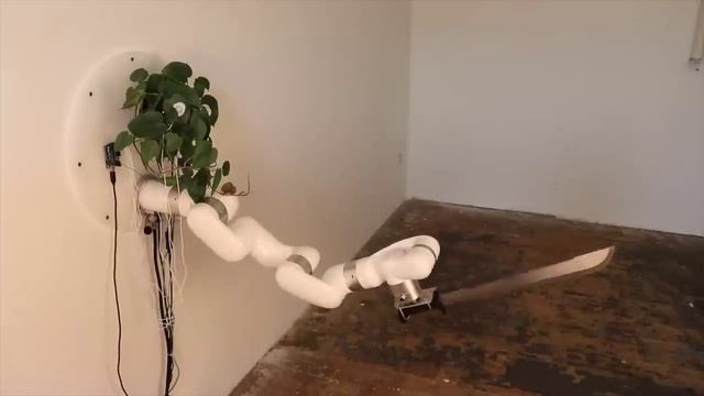 Plant machete. Ублюдок, мать твою