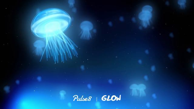 GLOW - A Pulse8 Experience