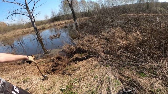 Копаю металл на берегу реки