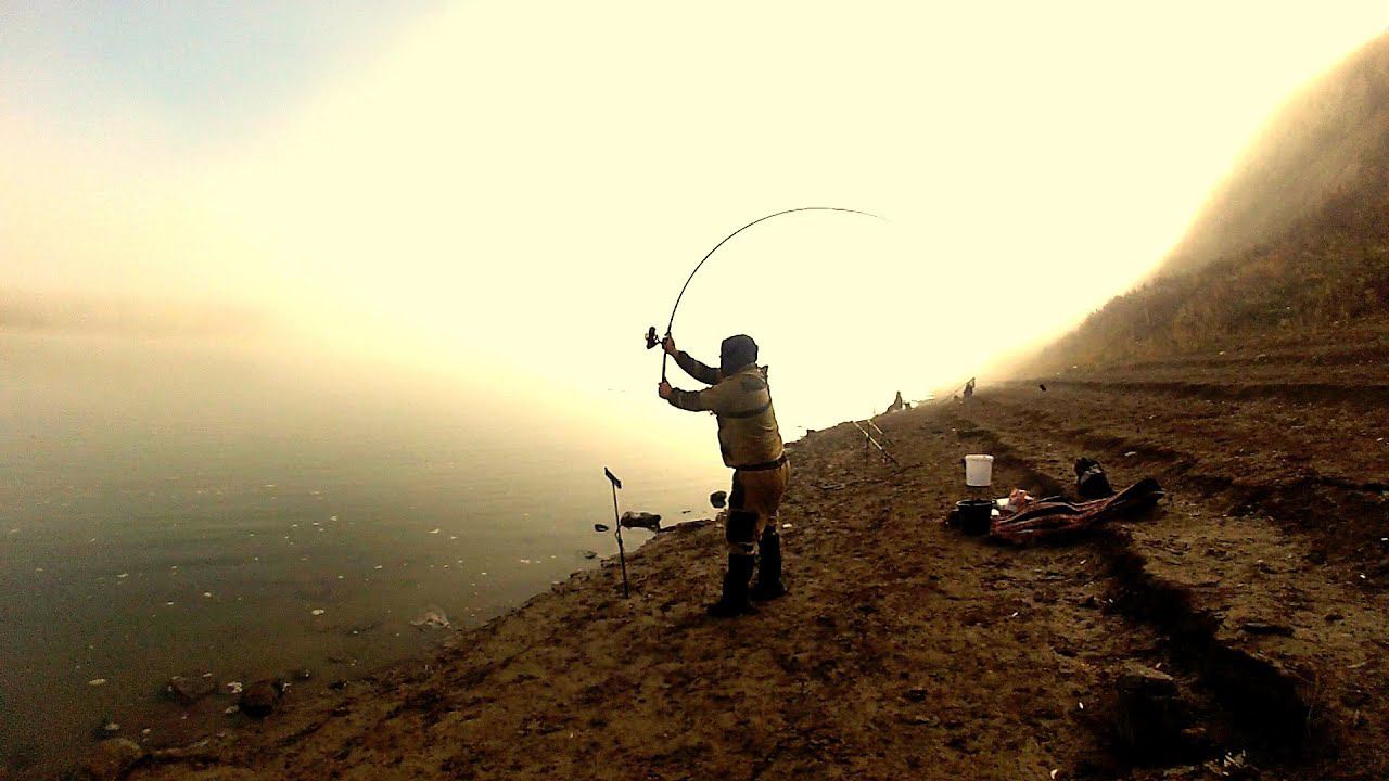 НА УЛИЦЕ МИНУС! А ЛЕЩ ЗАГИБАЕТ УДИЛИЩЕ!!! #Рыбалка на Осеннего Леща