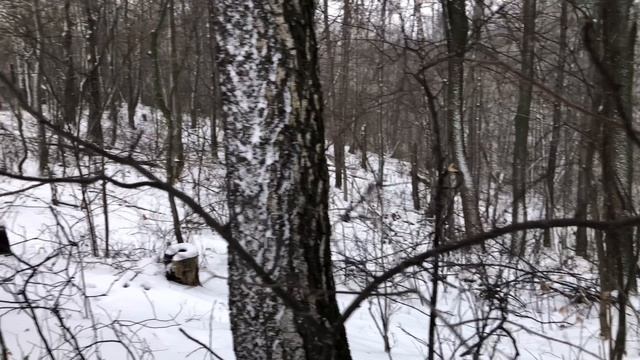 Встречный бой в зимнем лесу!