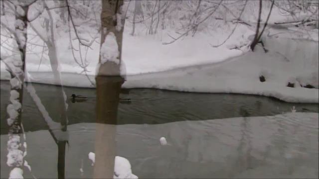 Река Сетунь.mp4