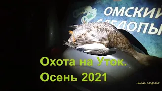 Охота на уток. Осень 2021 октябрь.