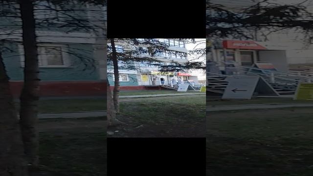 Пятачок леса.mp4