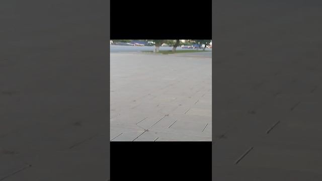 4 часть гулять с лп) 😉
