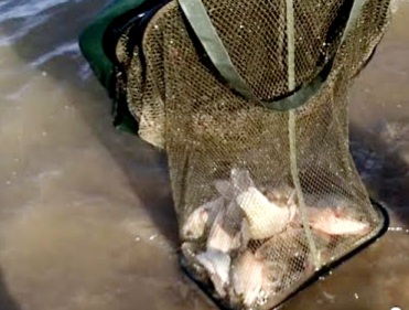 Летнее путешествие на рыбалку в Астрахань.