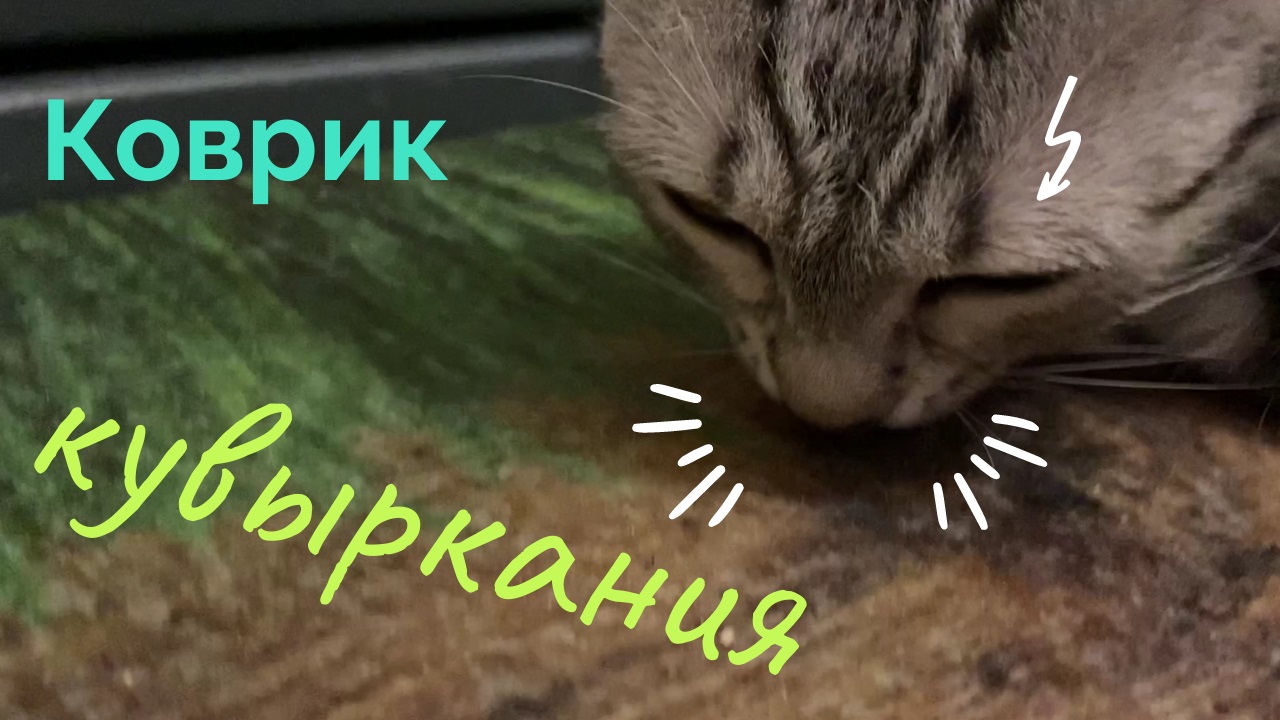 Шерстяная колбаска милая кошечка Боня