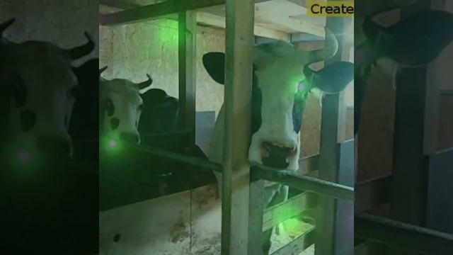 немного кушаем.mp4