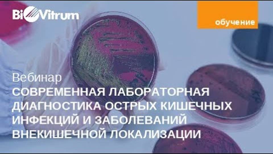 Современная лабораторная диагностика острых кишечных инфекций внекишечной локализации