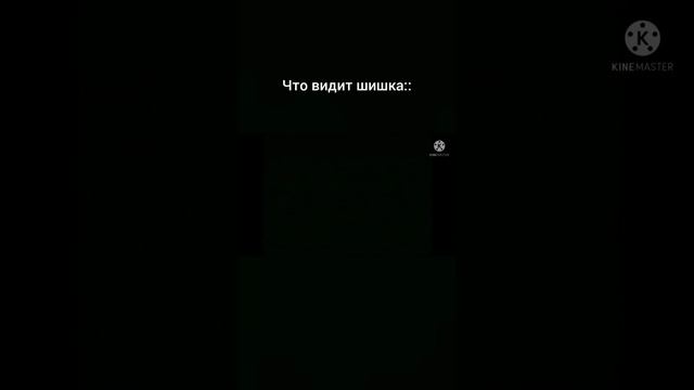 Жиза #1