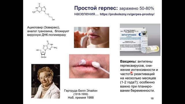 11. Дубынин В. А. - Физиология иммунитета - Иммунитет и вирусы герпеса.mp4