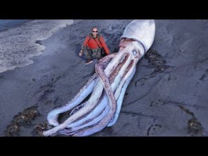 Странные Находки Выброшенные на Пляж