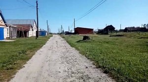Улица Колхозная в селе Каменный Овраг. Неверкинский район. Раннее утро августа 2023.